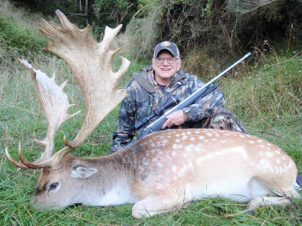 Fallow Buck Hunting In New Zealand | South Pacific Safaris