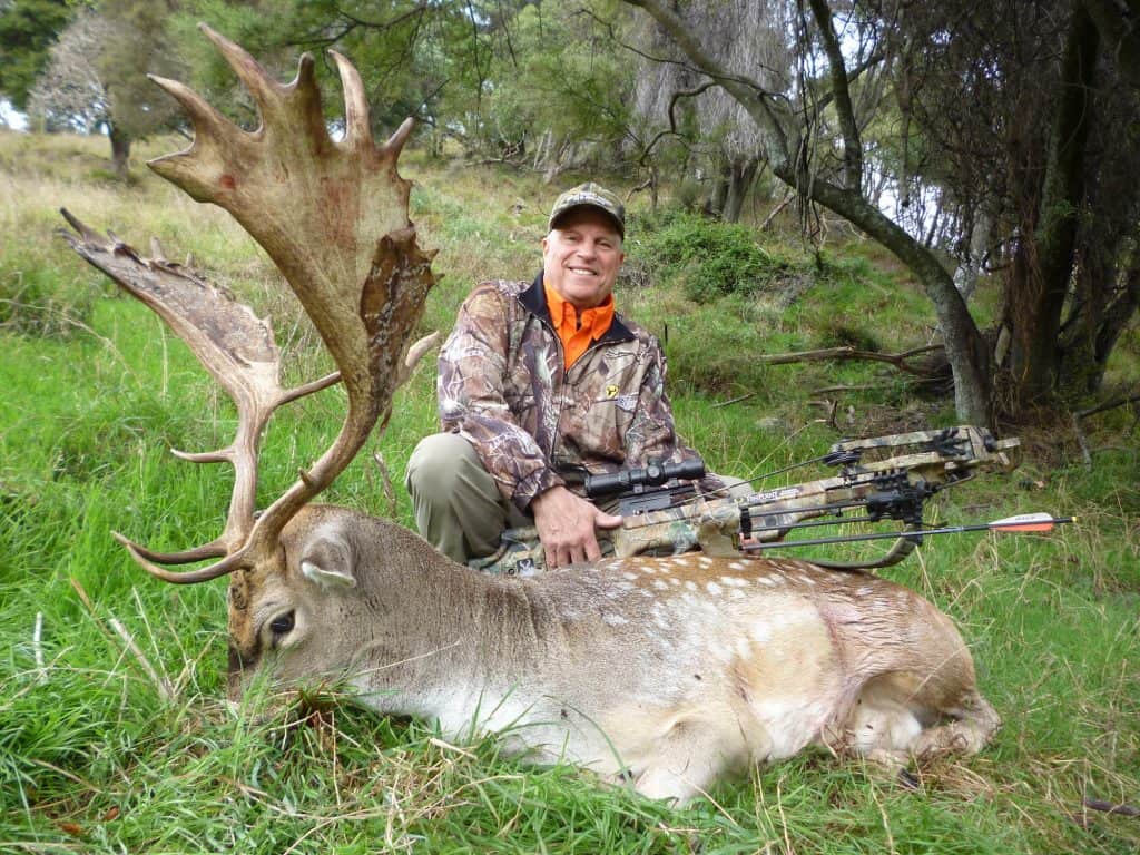 Fallow Buck Hunting In New Zealand | South Pacific Safaris
