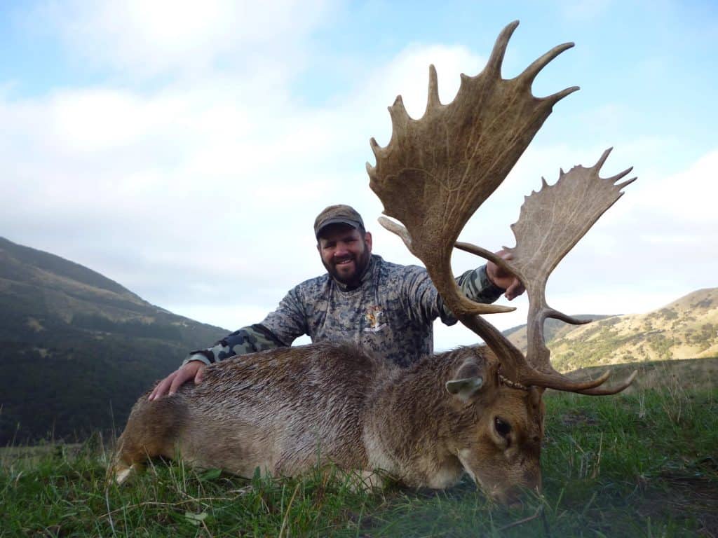 Fallow Buck Hunting In New Zealand | South Pacific Safaris