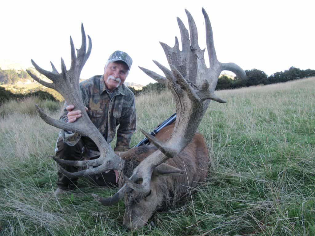 New Zealand Red Stag Hunting | South Pacific Safaris