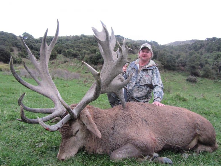 New Zealand Red Stag Hunting | South Pacific Safaris