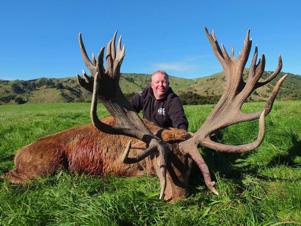 New Zealand Red Stag Hunting | South Pacific Safaris