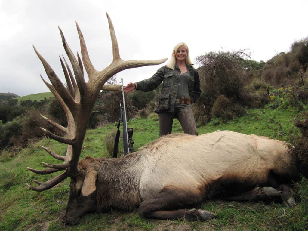 Hunt Elk in New Zealand | South Pacific Safaris | Private Game Estate