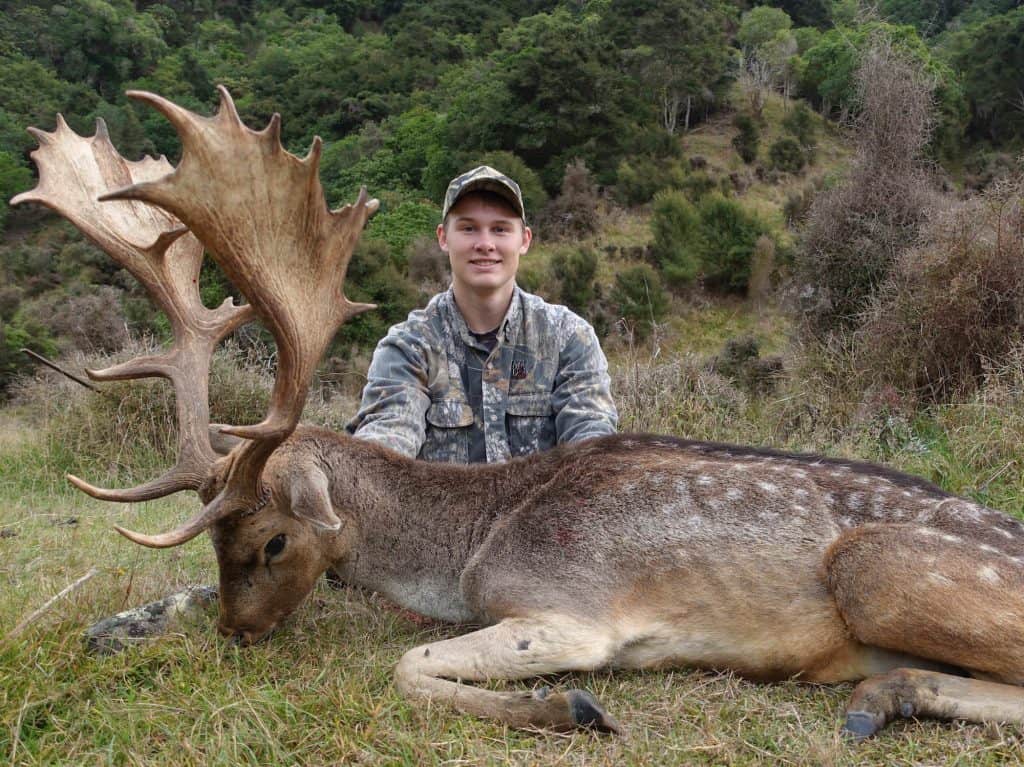 Fallow Buck Hunting In New Zealand | South Pacific Safaris